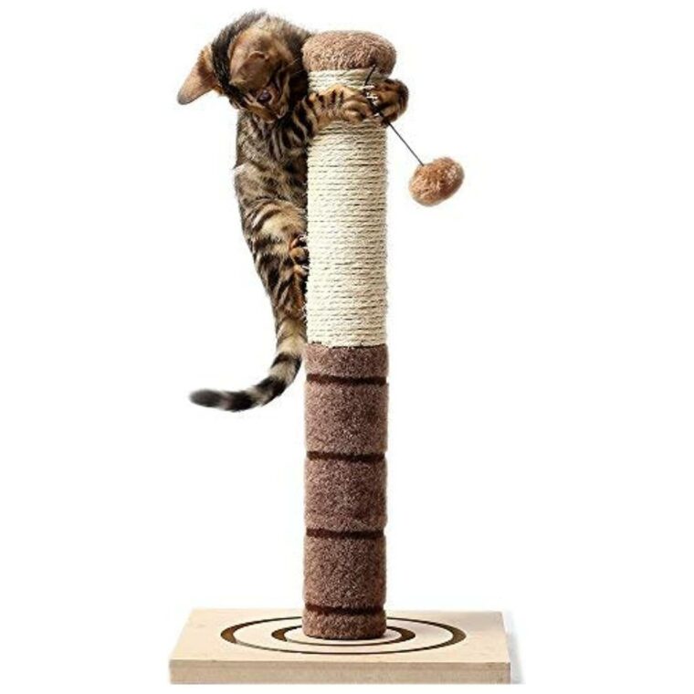 10 Best Cat Scratching Posts - 2026 Reviews & Top Picks | Hepper Pet ...
