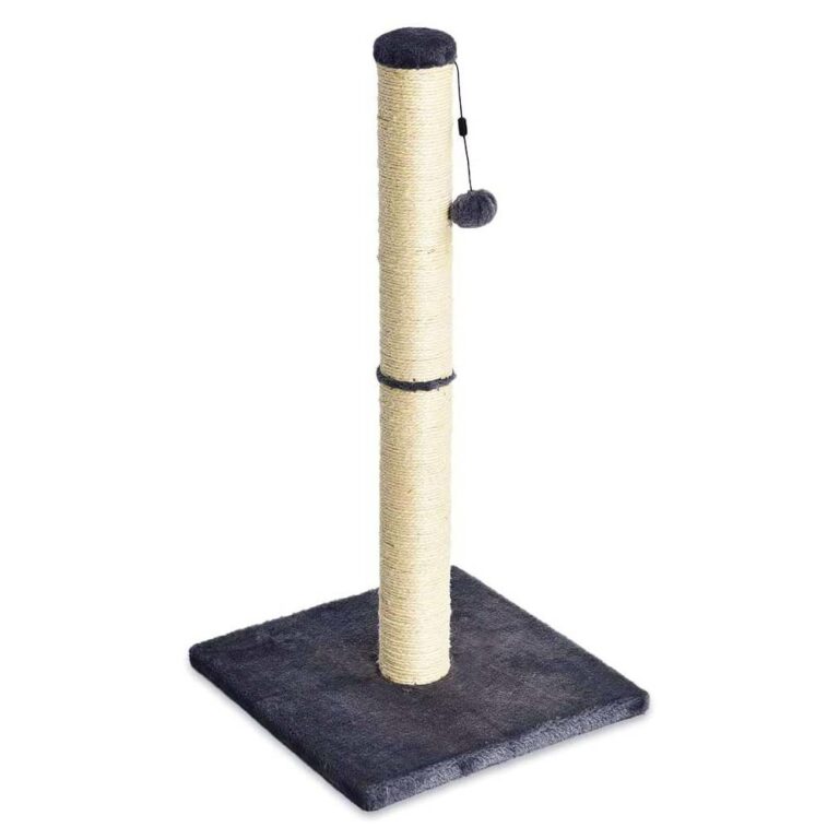 10 Best Cat Scratching Posts - 2025 Reviews & Top Picks | Hepper Pet ...
