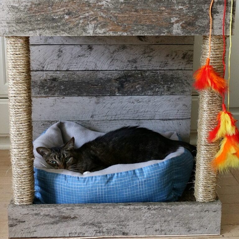 20 DIY Cat Bed Plans You Can Make Today (With Pictures) | Hepper Pet ...