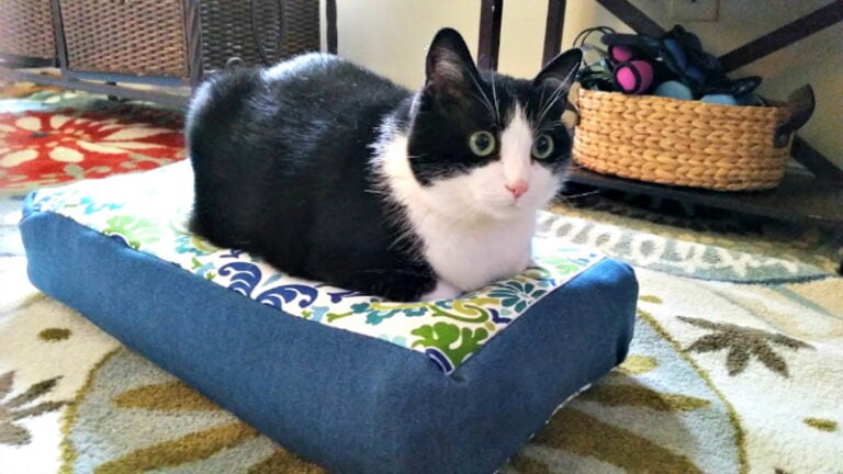 20 DIY Cat Bed Plans You Can Make Today (With Pictures) | Hepper Pet ...