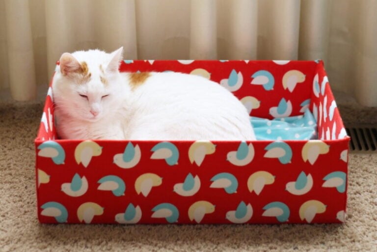 20 DIY Cat Bed Plans You Can Make Today (With Pictures) | Hepper Pet ...