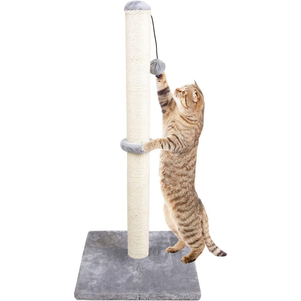 7 Best Tall Cat Scratching Posts in 2026: Reviews & Top Picks | Hepper ...