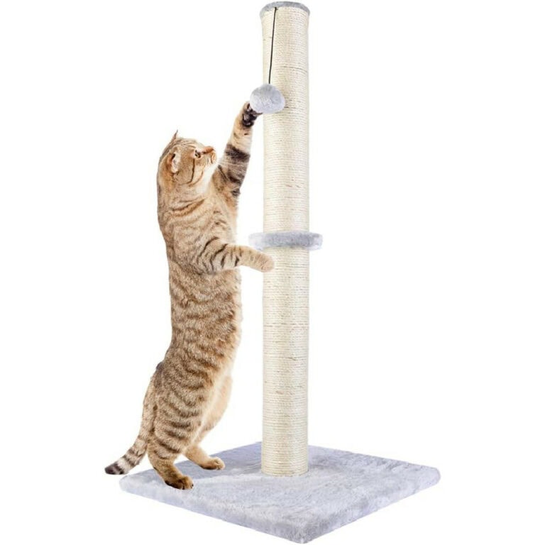 8 Best Cat Scratching Posts - 2026 Reviews & Top Picks | Hepper Pet ...