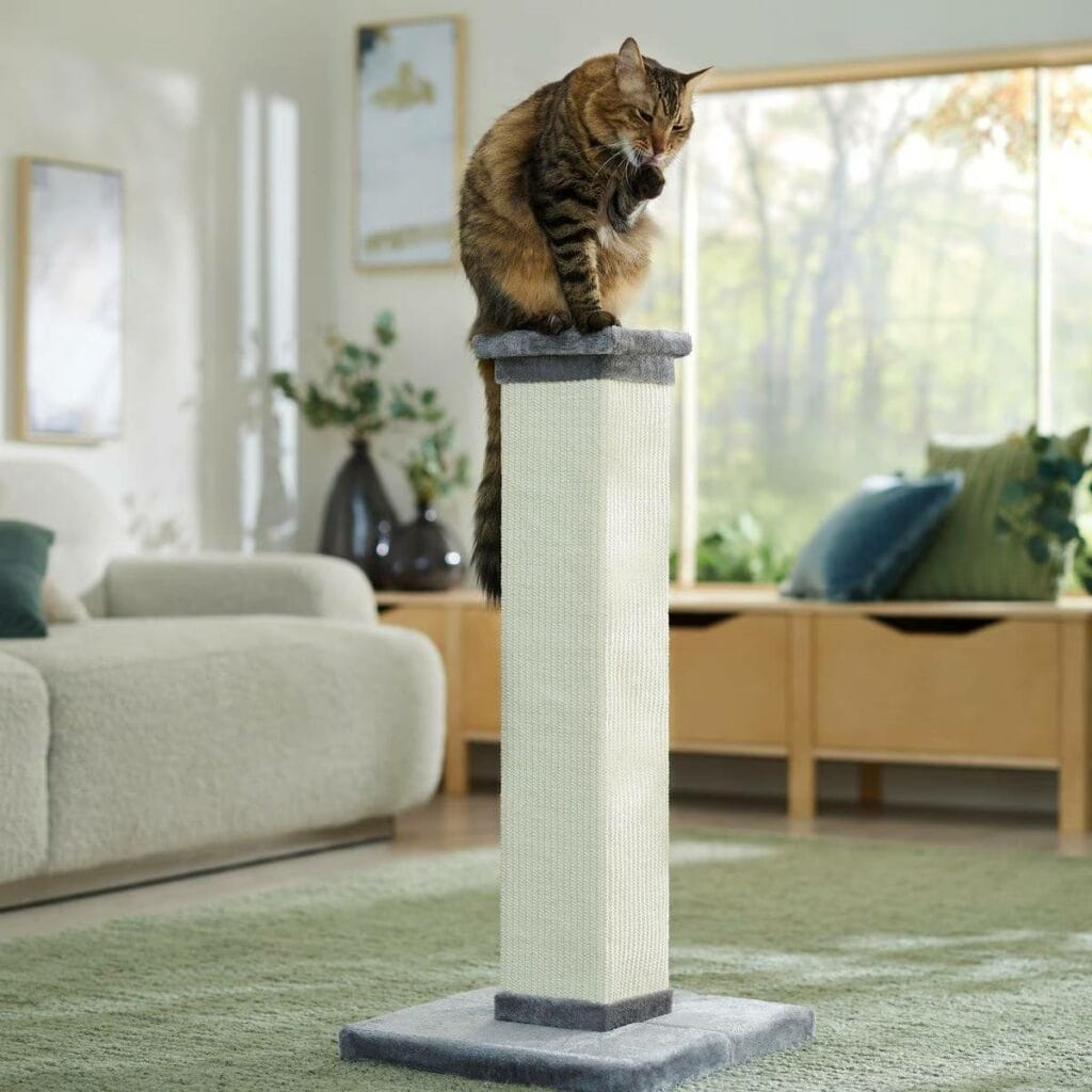 8 Best Cat Scratching Posts - 2026 Reviews & Top Picks | Hepper Pet ...
