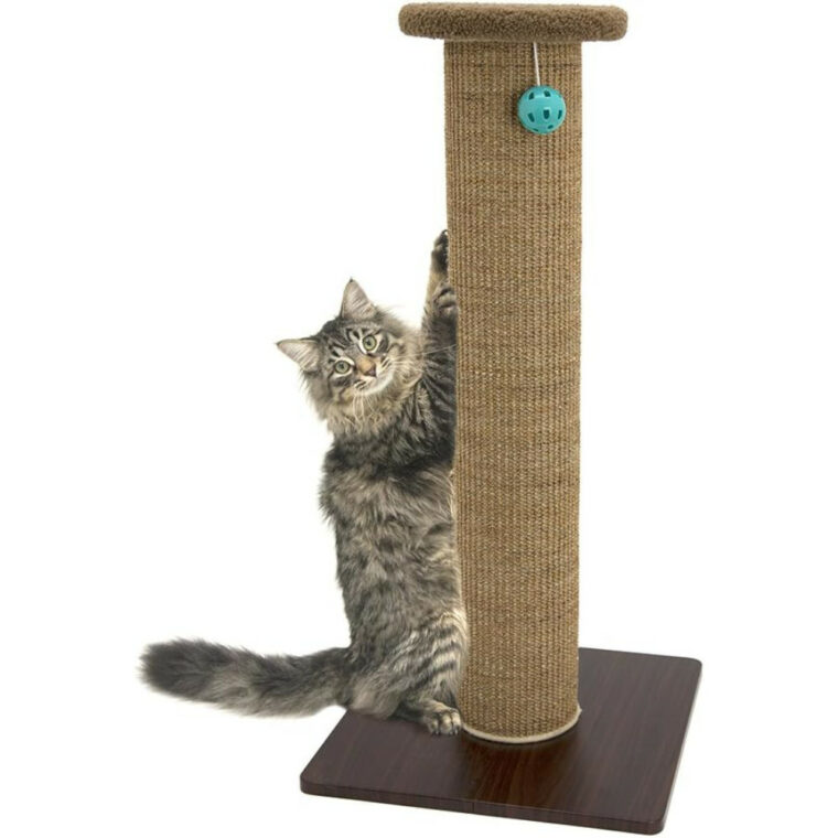 8 Best Cat Scratching Posts - 2026 Reviews & Top Picks | Hepper Pet ...