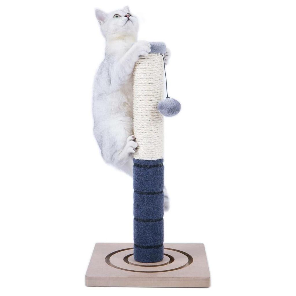 10 Best Cat Scratching Posts - 2025 Reviews & Top Picks | Hepper Pet ...