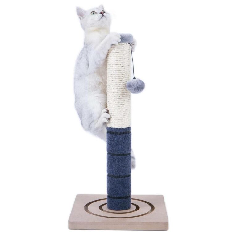 10 Best Cat Scratching Posts - 2025 Reviews & Top Picks | Hepper Pet ...