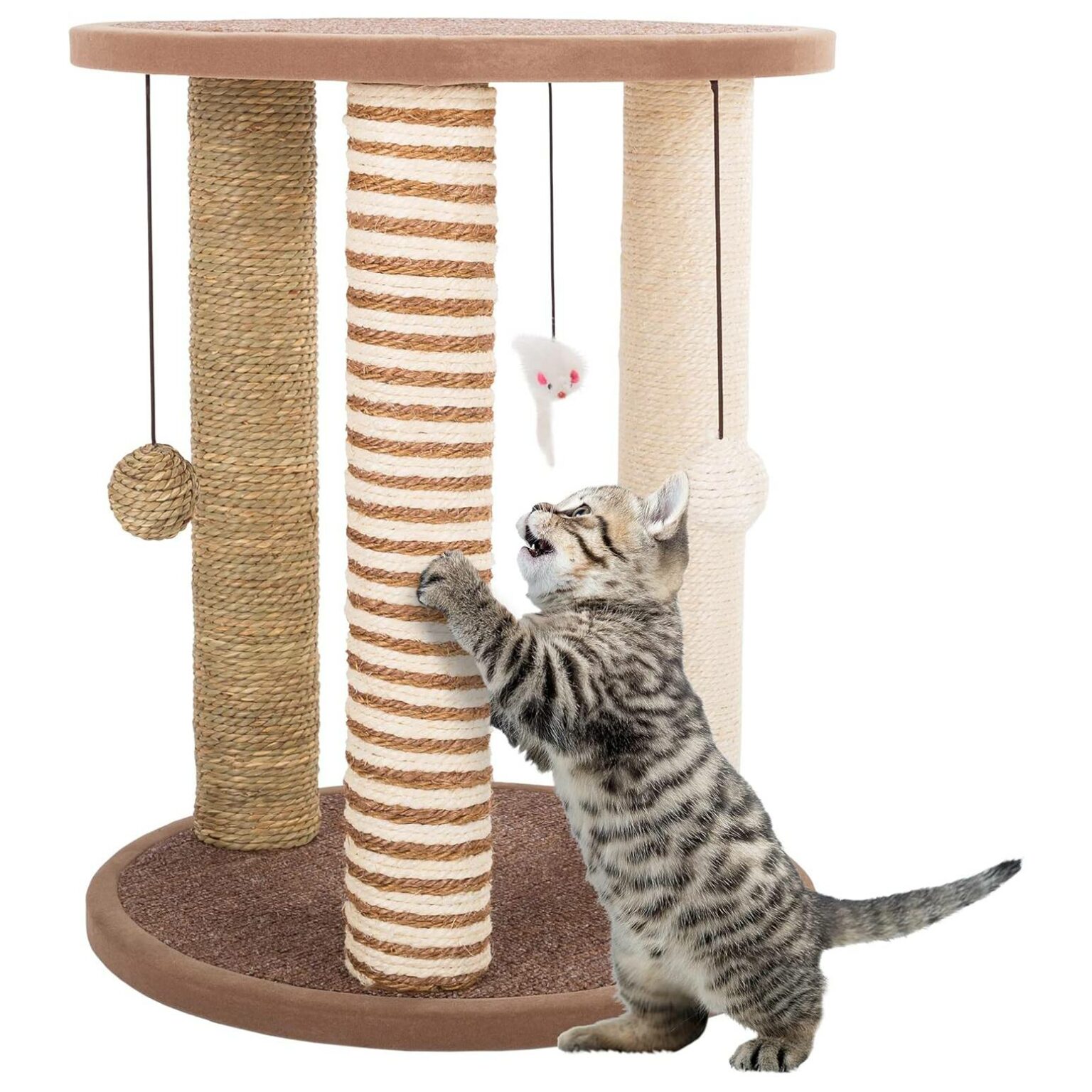6 Best Modern Cat Scratcher Posts in 2026 - Reviews & Top Picks ...
