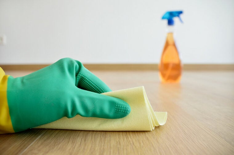 Cleaning Products That Are Safe for Cats: 7 Vet-Approved Household ...