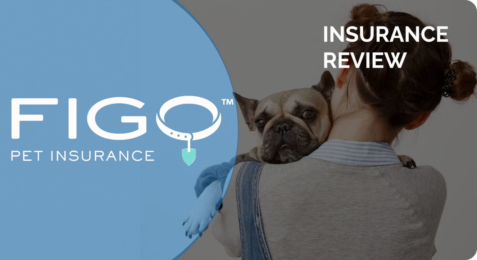 Figo Pet Insurance Review 2026 - Pros, Cons, & Verdict | Hepper Pet ...