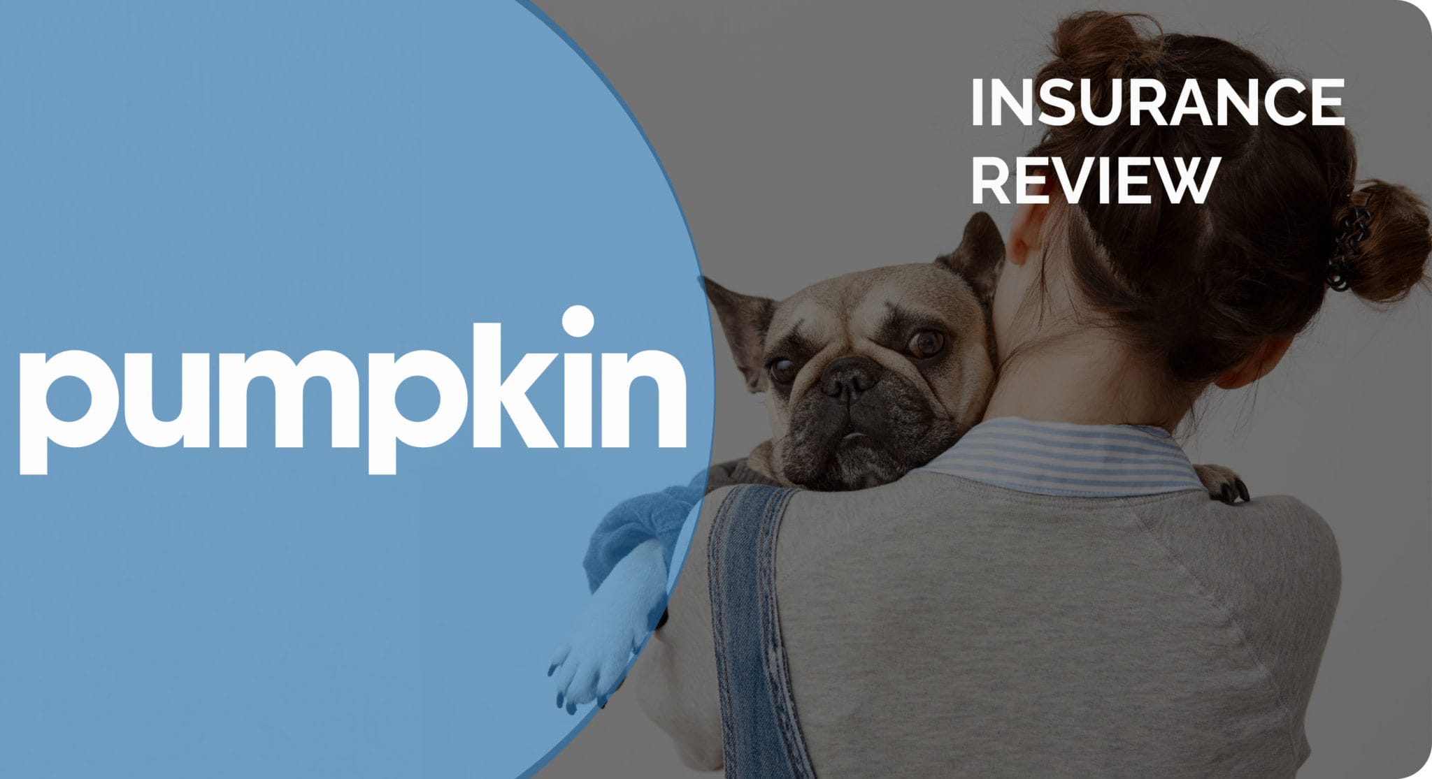 Pumpkin Pet Insurance Review 2025 - Pros, Cons, & Verdict | Hepper Pet ...