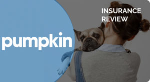 Pumpkin Pet Insurance Review 2026 - Pros, Cons, & Verdict | Hepper Pet ...