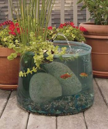 9 DIY Outdoor Fish Tank Ideas (With Pictures) | Hepper Pet Resources
