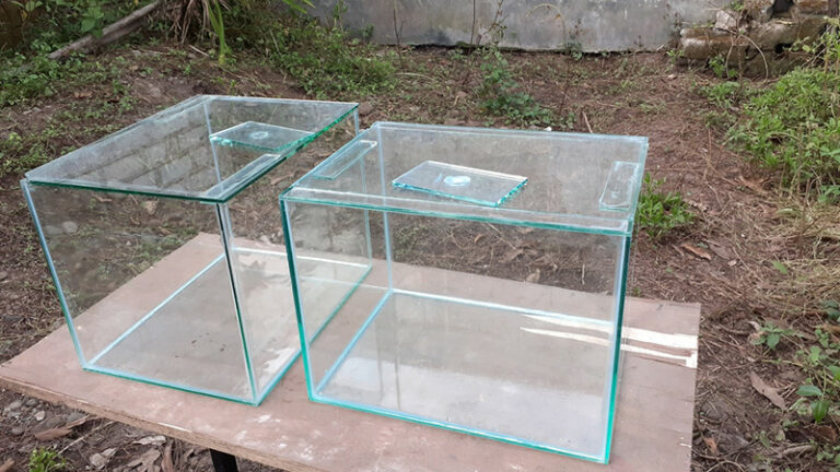 How to Build a DIY Aquarium in 15 Easy Steps (With Pictures) (A ...