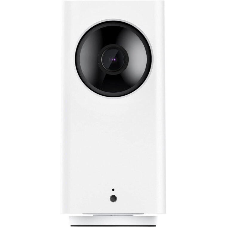 10 Best Pet Cameras (Cats & Dogs) - 2026 Reviews | Hepper Pet Resources