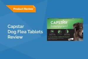 Ask a Vet: Capstar Flea Tablet Review 2026 - Pros, Cons & Verdict ...