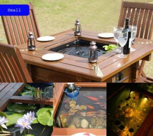 9 DIY Outdoor Fish Tank Ideas (With Pictures) | Hepper Pet Resources