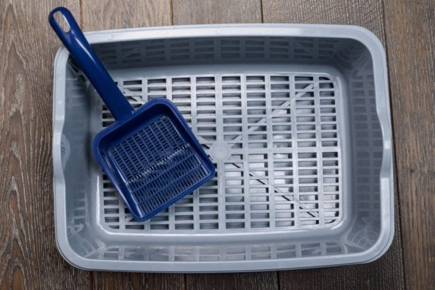 6 Best Sifting Litter Boxes – 2026 Reviews & Top Picks | Hepper Pet ...