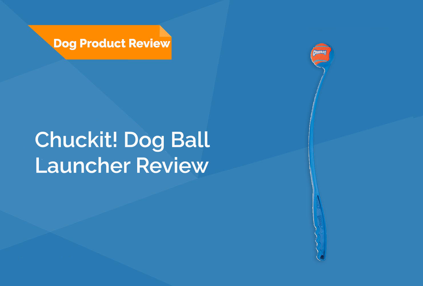 11 DIY Dog Ball Launchers You Can Make Today (With Pictures) | Hepper ...