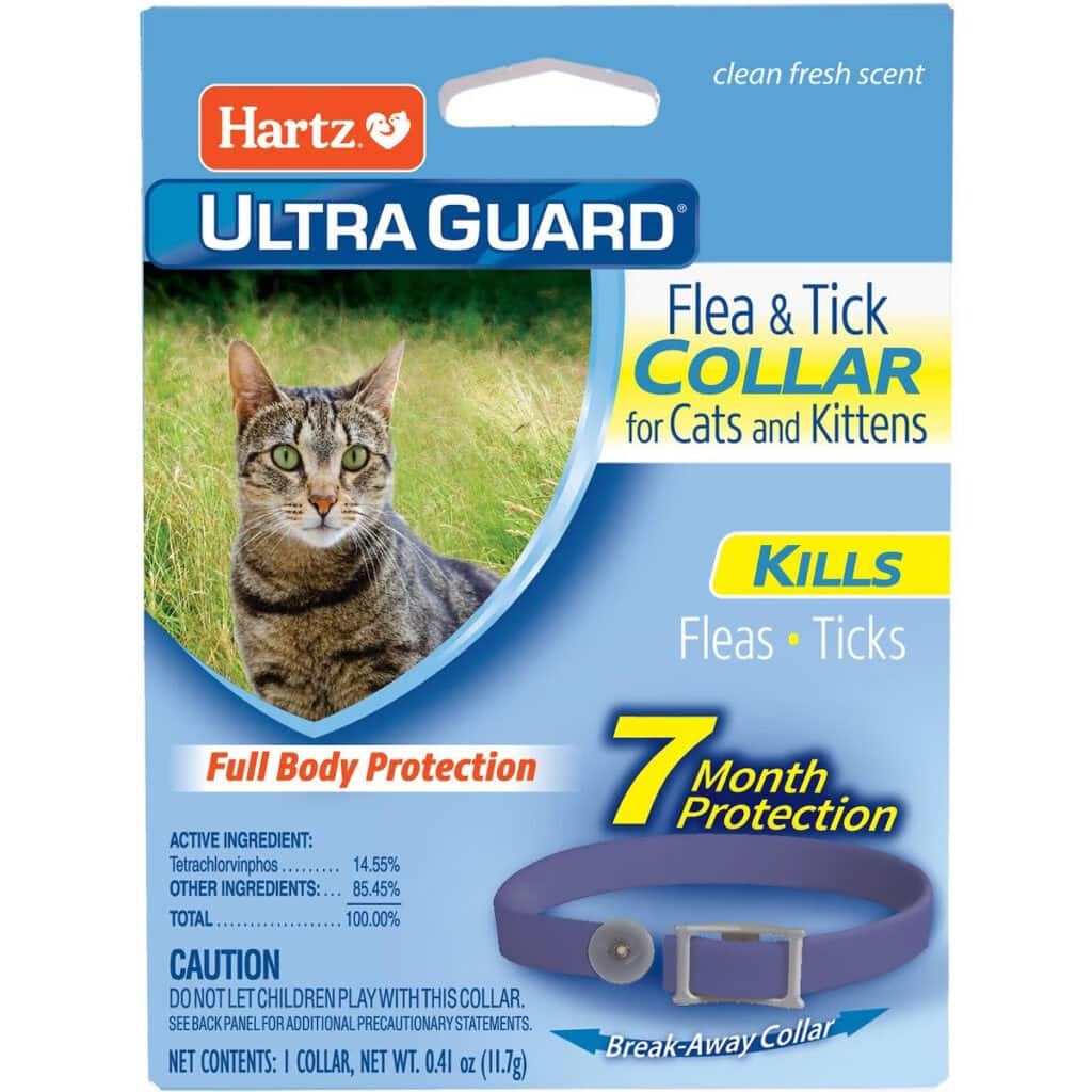 7 Best Flea Collars for Cats in 2026 - Reviews & Top Picks | Hepper Pet ...