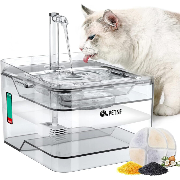 9 Best Cat Water Fountains in 2026 – Reviews & Guide | Hepper Pet Resources