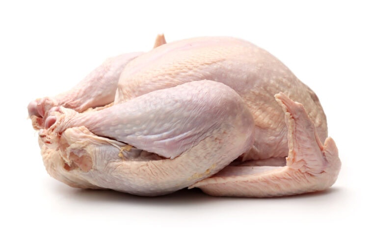 Can Cats Eat Turkey? Vet-Reviewed Facts & Feeding Tips | Hepper Pet ...