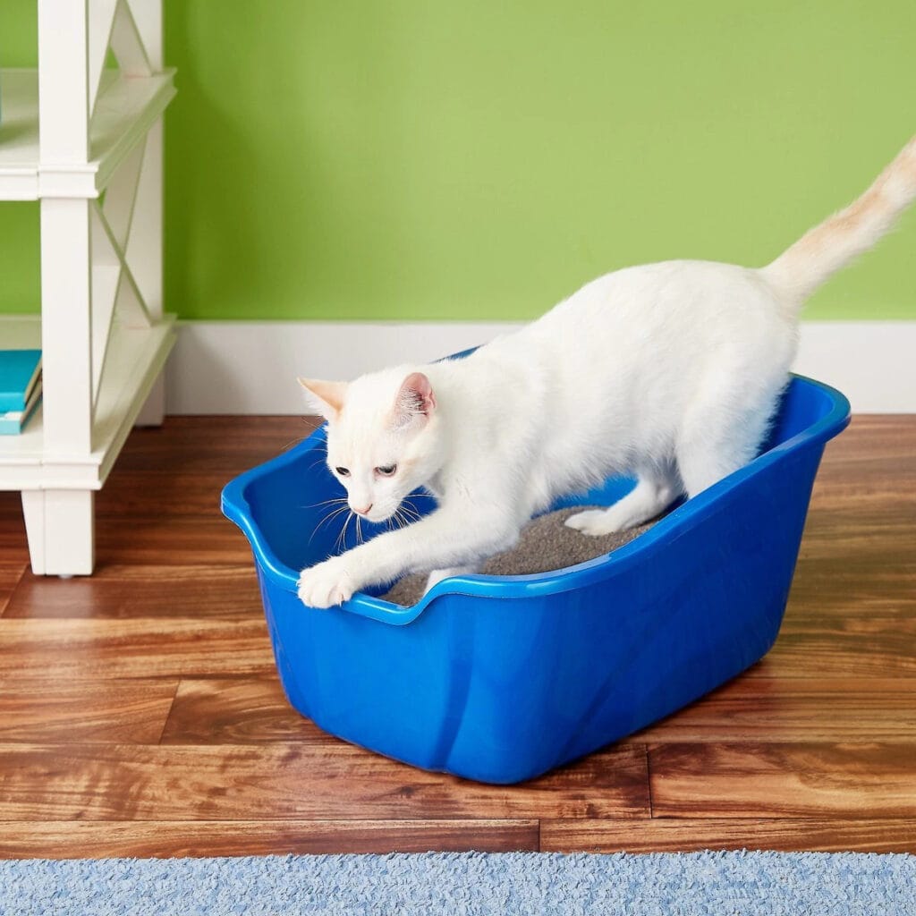10 Best Cat Litter Boxes - 2026 Reviews & Top Picks | Hepper Pet Resources
