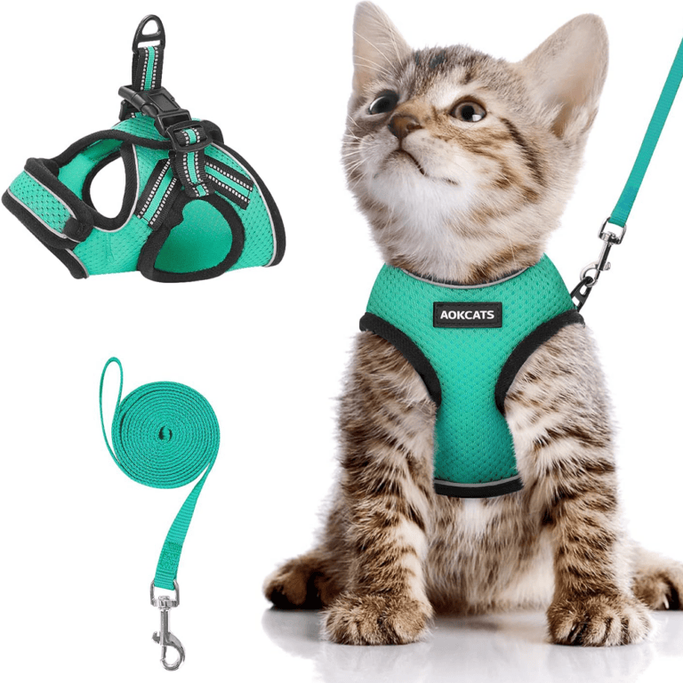 10 Best Escape Proof Cat Harnesses in 2026 - Reviews & Top Picks ...