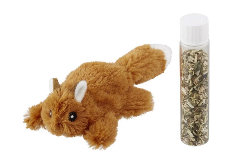 11 Best Kitten Toys - 2026 Reviews & Top Picks | Hepper Pet Resources