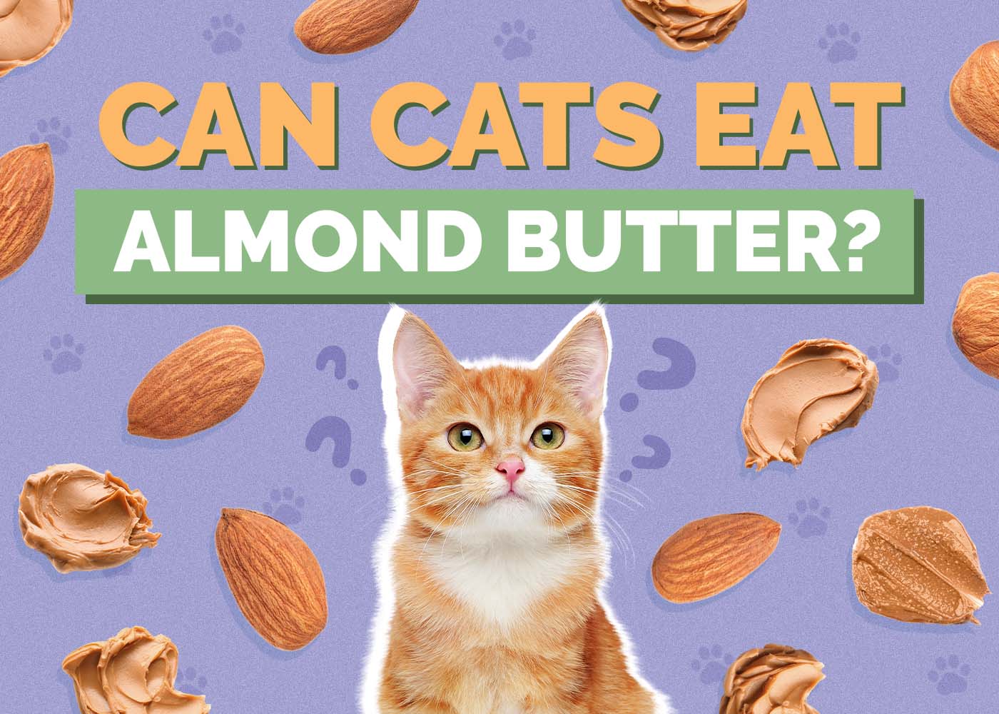Can Cats Eat Butter? Vet-Reviewed Facts and FAQ | Hepper Pet Resources