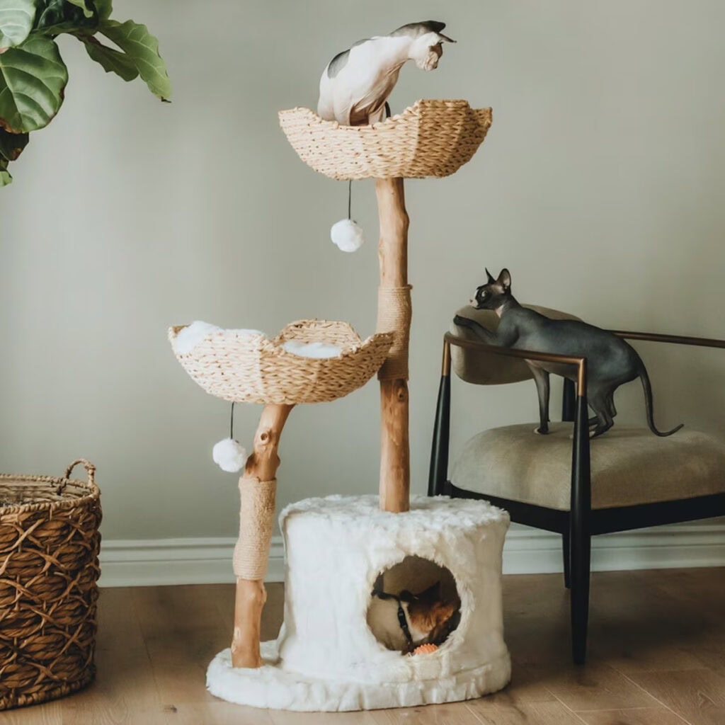 18 Best Cat Trees for Small Apartments - 2026 Reviews & Top Picks ...