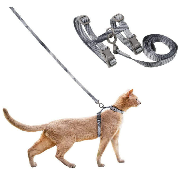 9 Best Escape Proof Cat Harnesses in 2026 - Reviews & Top Picks ...