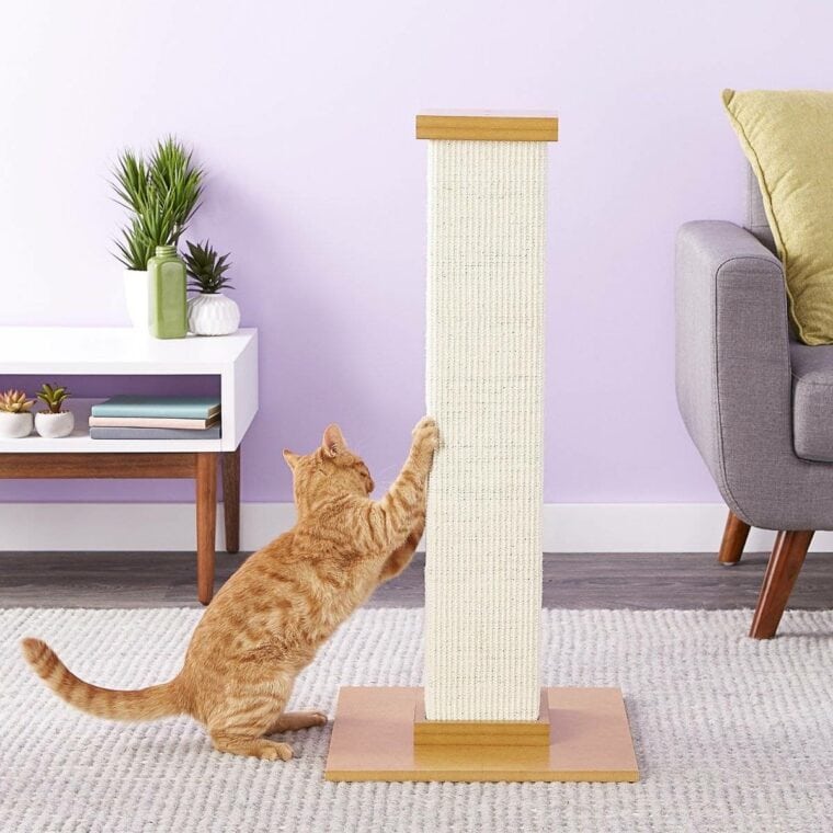 10 Best Cat Scratching Posts - 2025 Reviews & Top Picks | Hepper Pet ...