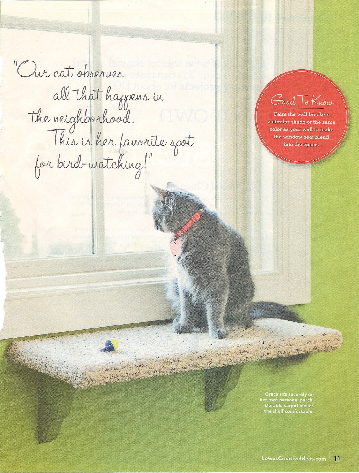 8 DIY Cat Window Perches You Can Create Today (With Pictures) | Hepper ...