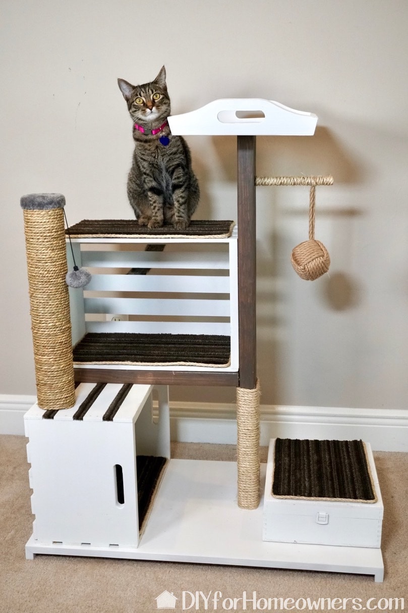 19 DIY Cat Tree Plans You Can Build Today (With Pictures) | Hepper Pet ...