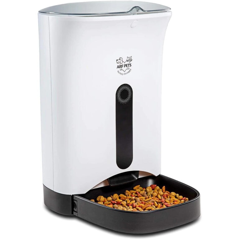 9 Best Automatic Cat Feeders (Wet & Dry) - 2026 Reviews and Top Picks ...