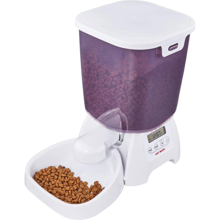 9 Best Automatic Cat Feeders (Wet & Dry) - 2026 Reviews and Top Picks ...