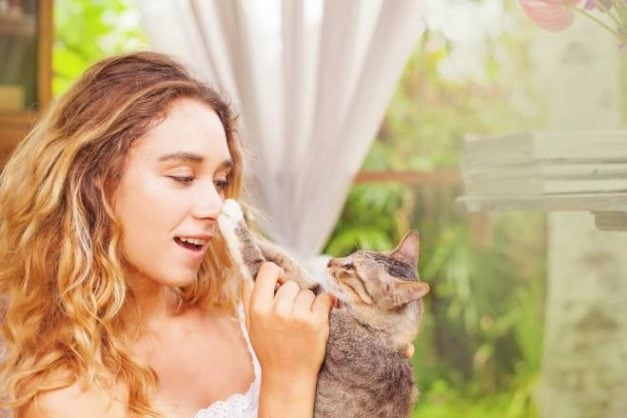 Why Does Your Cat Reach Their Paw Out to You? 10 Vet-Verified Reasons ...