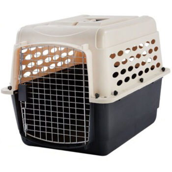 10 Best Cat Carriers - 2025 Reviews & Buyers Guide | Hepper Pet Resources