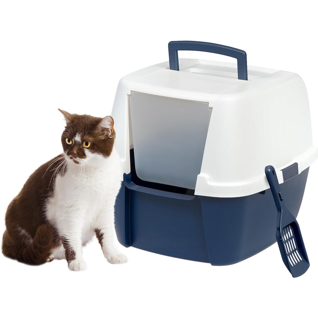 10 Best Litter Boxes for Messy Cats - 2026 Reviews & Top Picks | Hepper ...