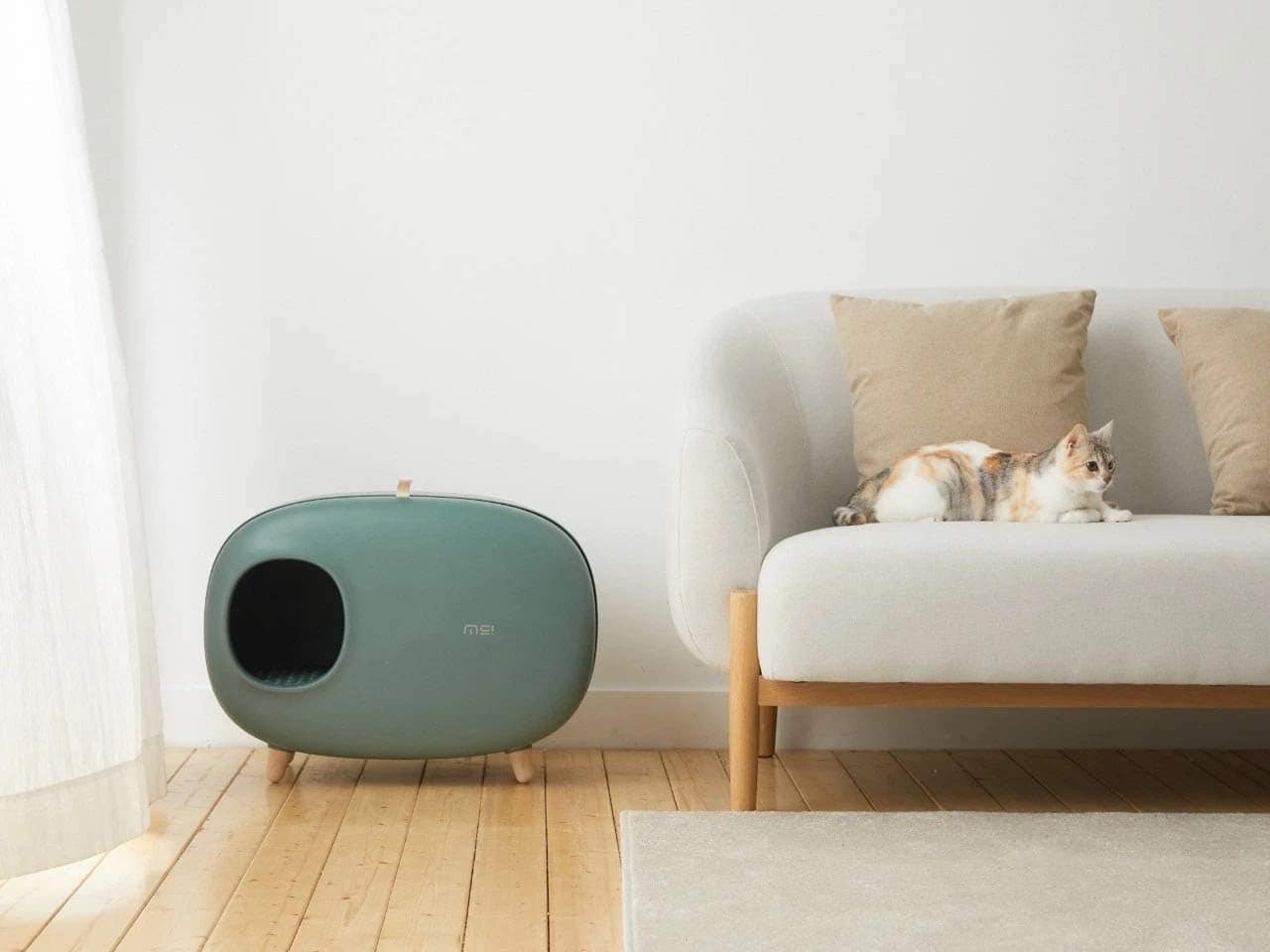 10 Best Modern Cat Litter Boxes That Look Great - 2025 Reviews & Top ...