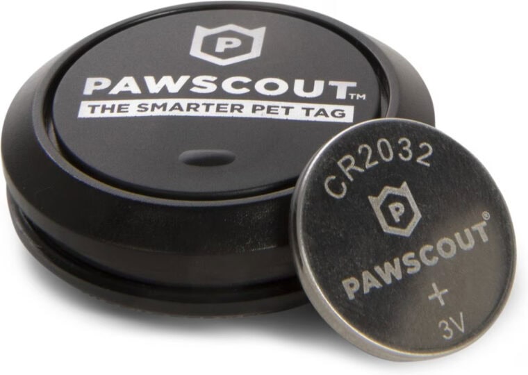 9 Best GPS Cat Trackers - 2026 Reviews & Buyers Guide | Hepper Pet ...