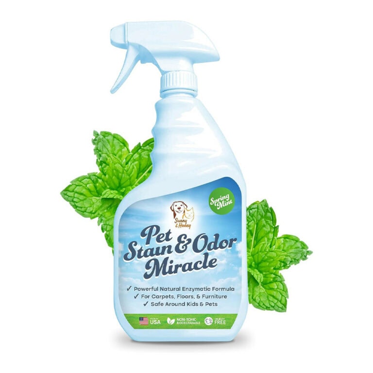7 Best Cat Urine & Odor Removers (Enzyme Cleaners) - 2026 Reviews and ...