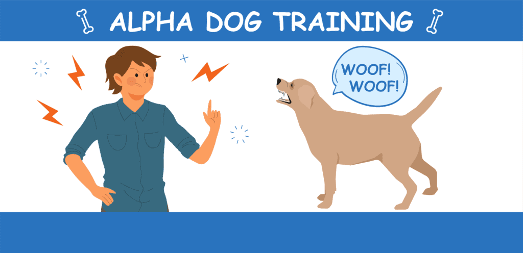 Types of Dog Training - 7 Proven Methods | Hepper Pet Resources