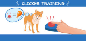 Types of Dog Training - 7 Proven Methods | Hepper Pet Resources
