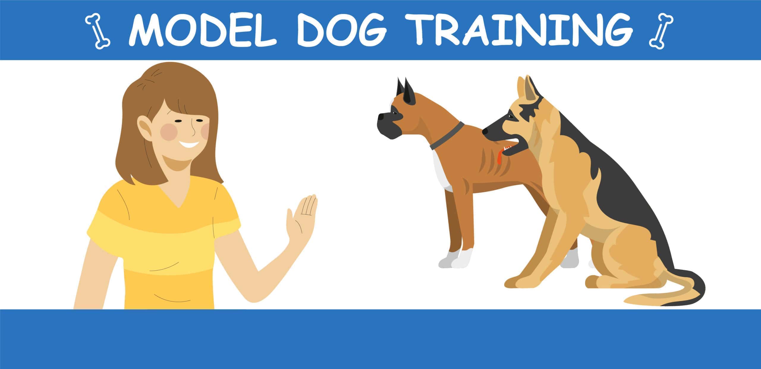Types of Dog Training - 7 Proven Methods | Hepper Pet Resources