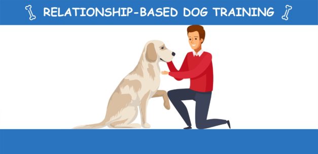 Types of Dog Training - 7 Proven Methods | Hepper Pet Resources