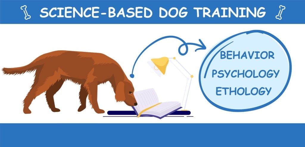 Types of Dog Training - 7 Proven Methods | Hepper Pet Resources