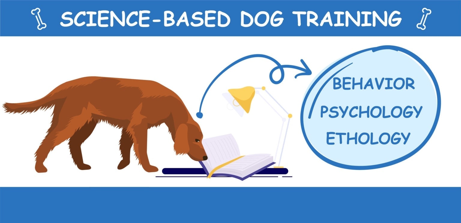 Types of Dog Training - 7 Proven Methods | Hepper Pet Resources