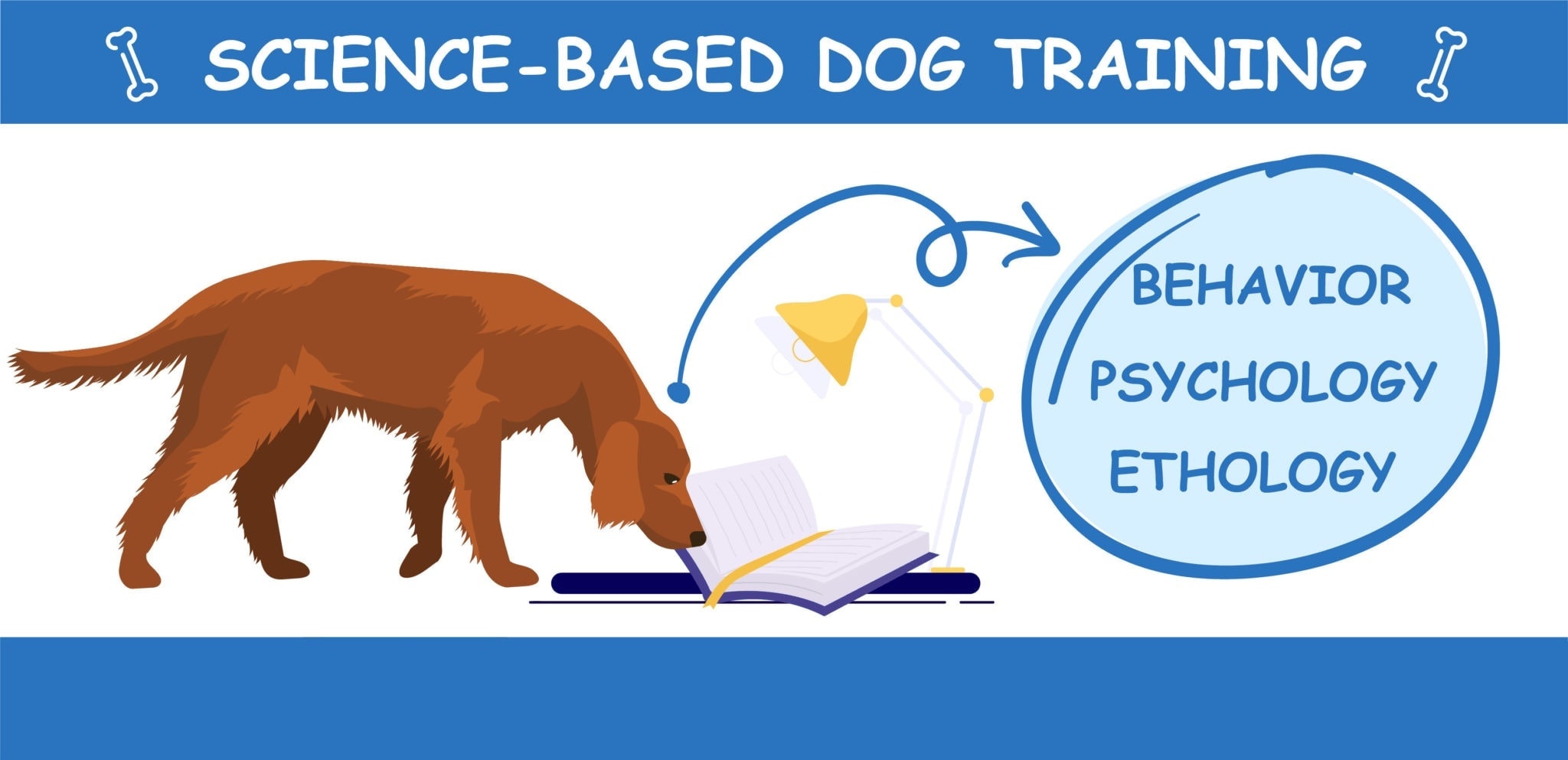 Types of Dog Training - 7 Proven Methods | Hepper Pet Resources